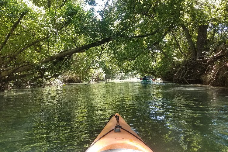 San Marcos Tubing | San Marcos River